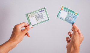 Tipos de CNH - Blog Autoglass Online